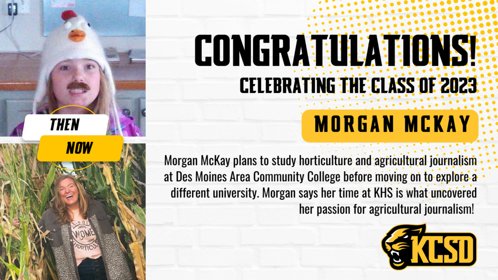 Live Feed | Knoxville Community School District